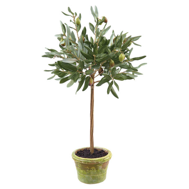 Winward Silks Peony Bouquet Floral Arrangement in Low Cylinder Vase ...