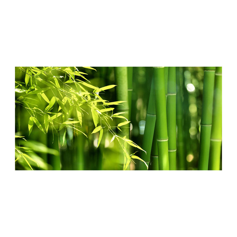 Brayden Studio Bamboo - Wrapped Canvas Print | Wayfair.co.uk