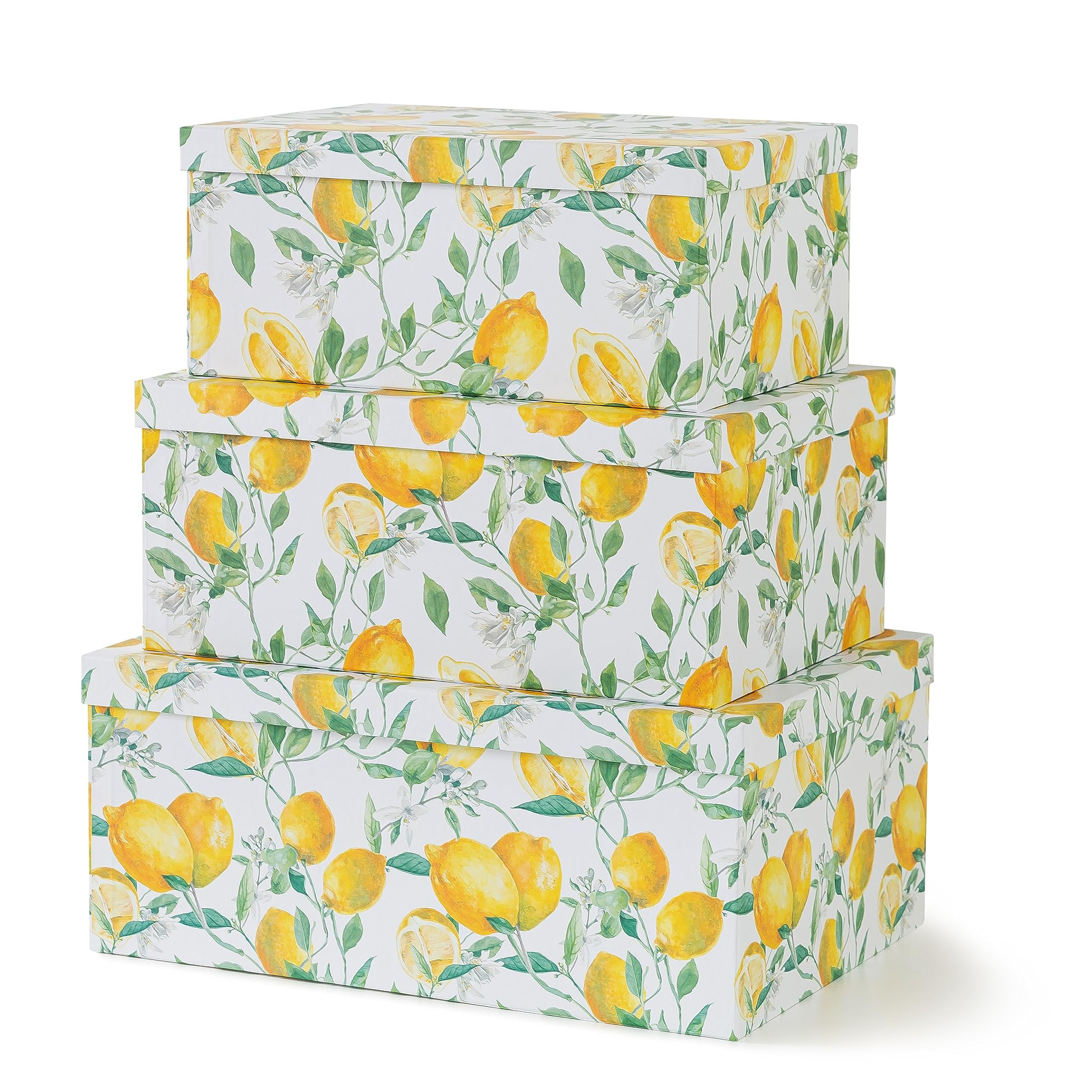 Red Barrel Studio® Decorative Cardboard Storage Boxes with Lids Set of ...