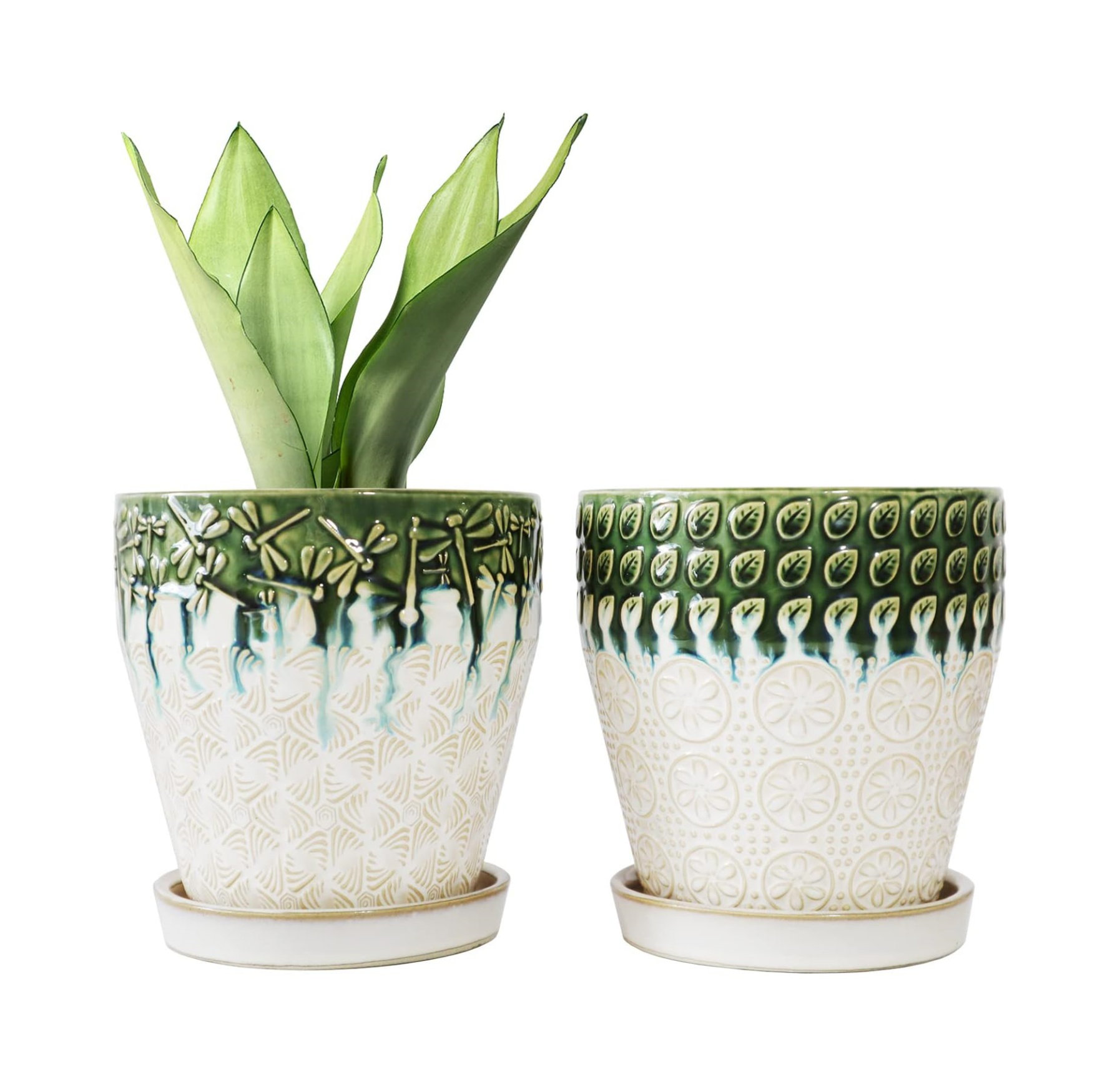 Bungalow Rose 6 Inch Ceramic Planter Pots With Drainage Holes,Saucers ...