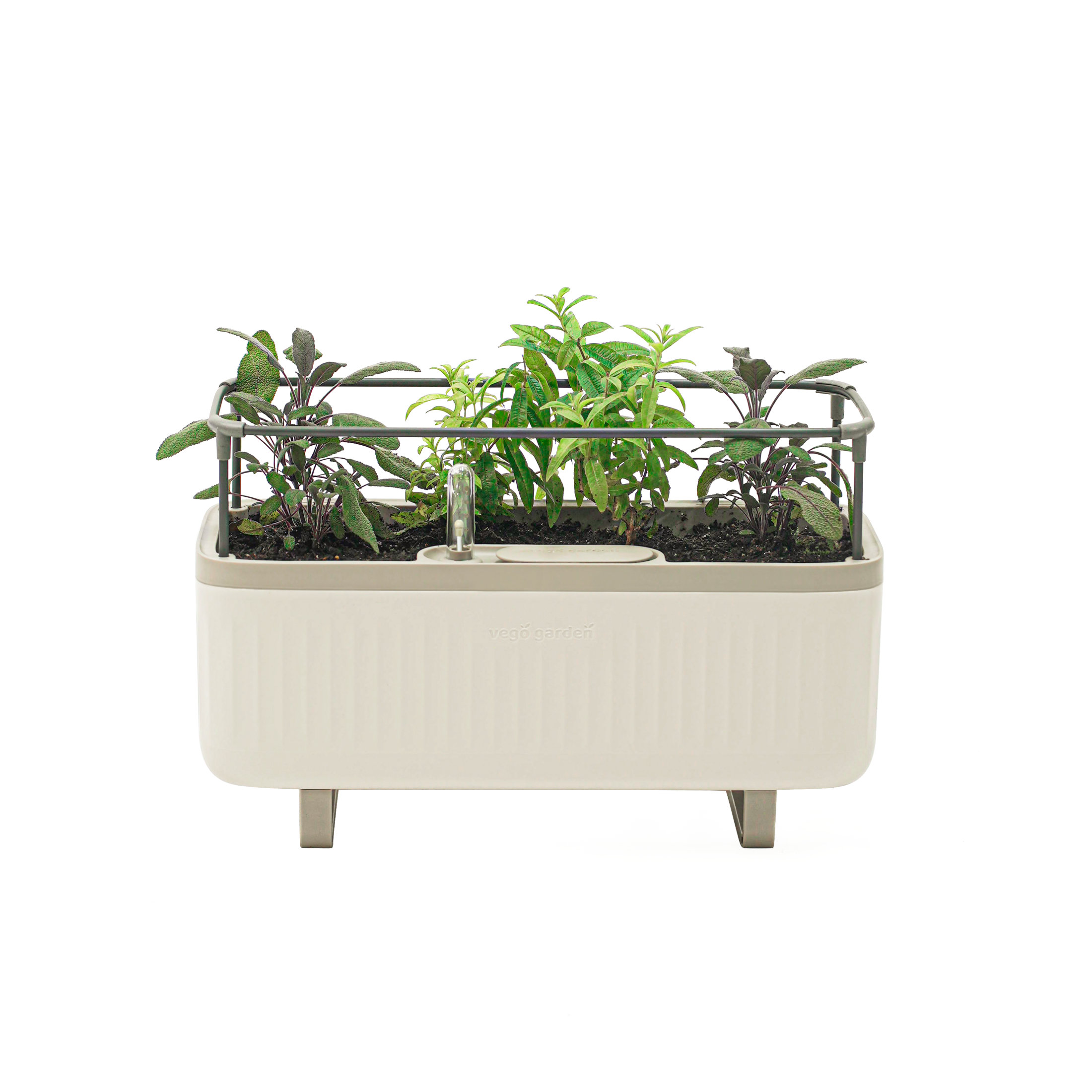 Vego Garden Mini Herb Plastic Outdoor Pot Planter with Trellis ...