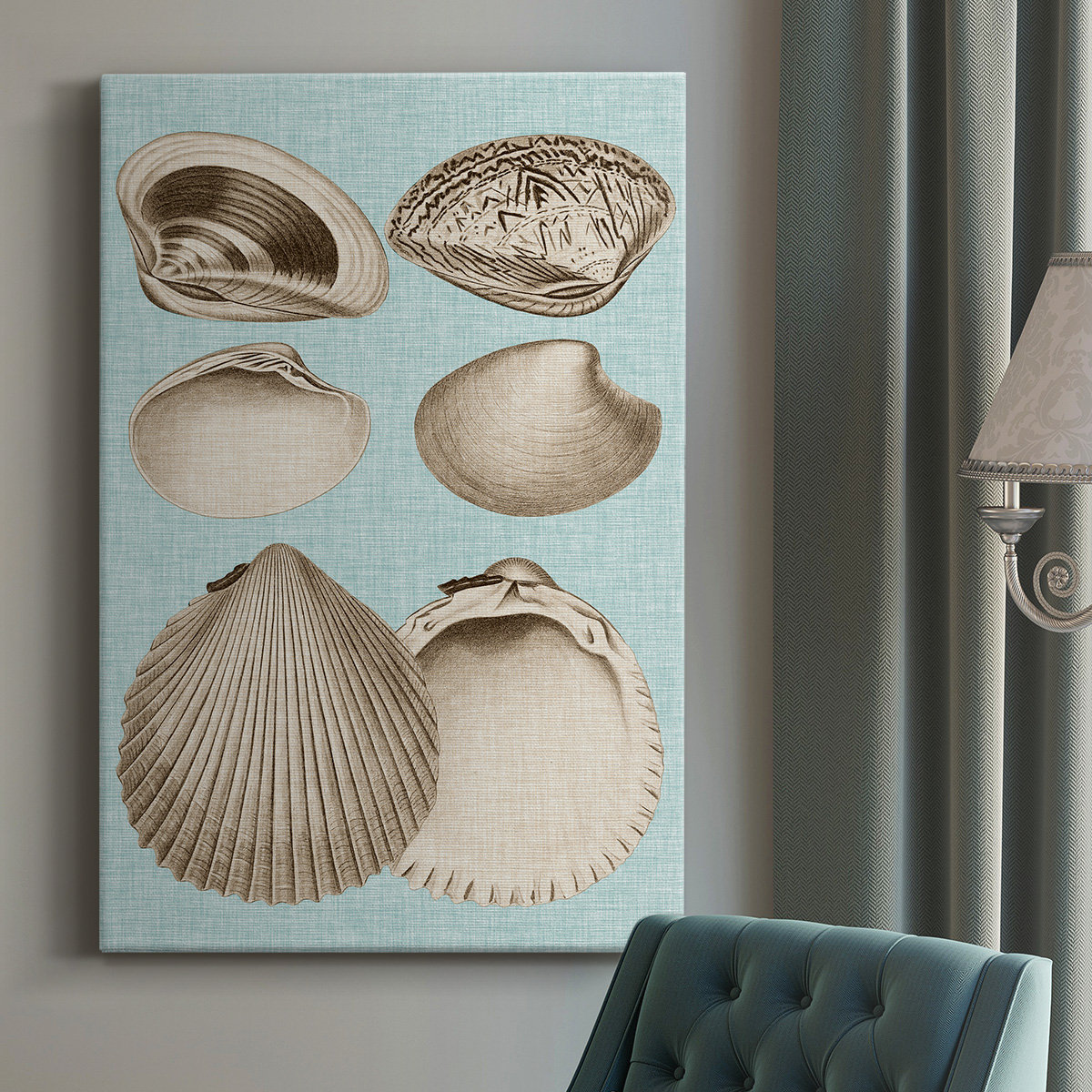 Dovecove Sepia & Aqua Shells IX - Wrapped Canvas Graphic Art | Wayfair