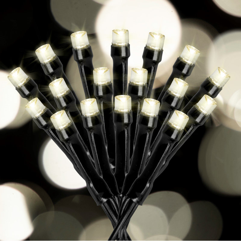 The Holiday Aisle® Edie Outdoor 125 - Bulb 68'' Solar Powered Wide ...