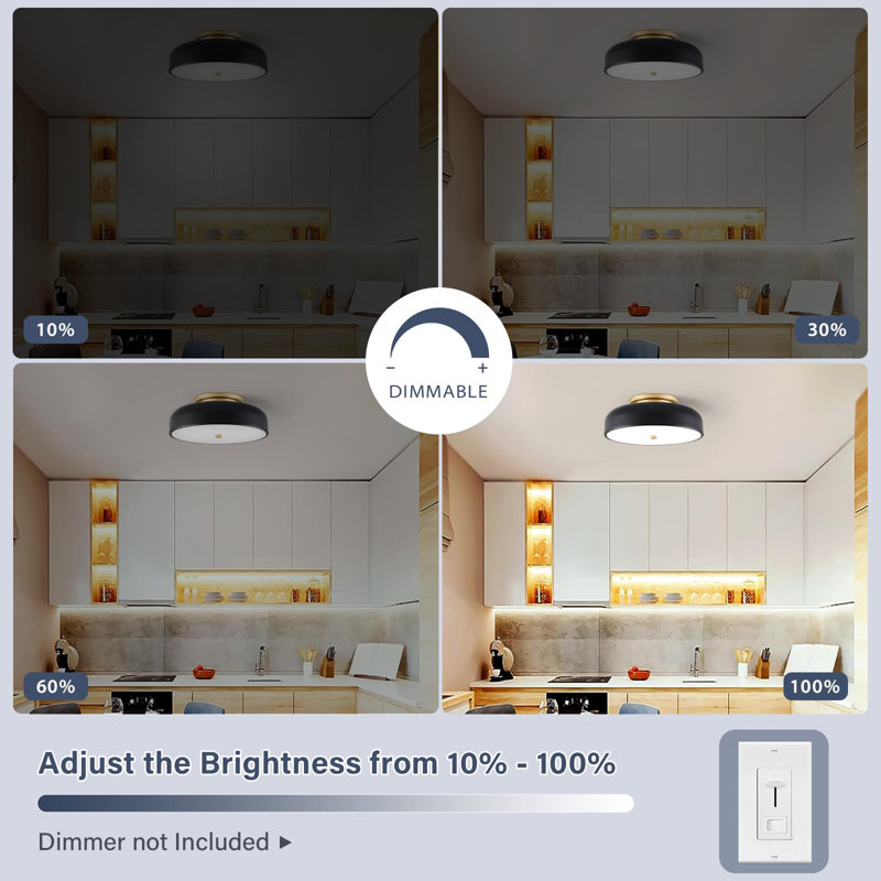 Mercer41 11.8 Inch Flush Mount Ceiling Light Dimmable Black Light ...