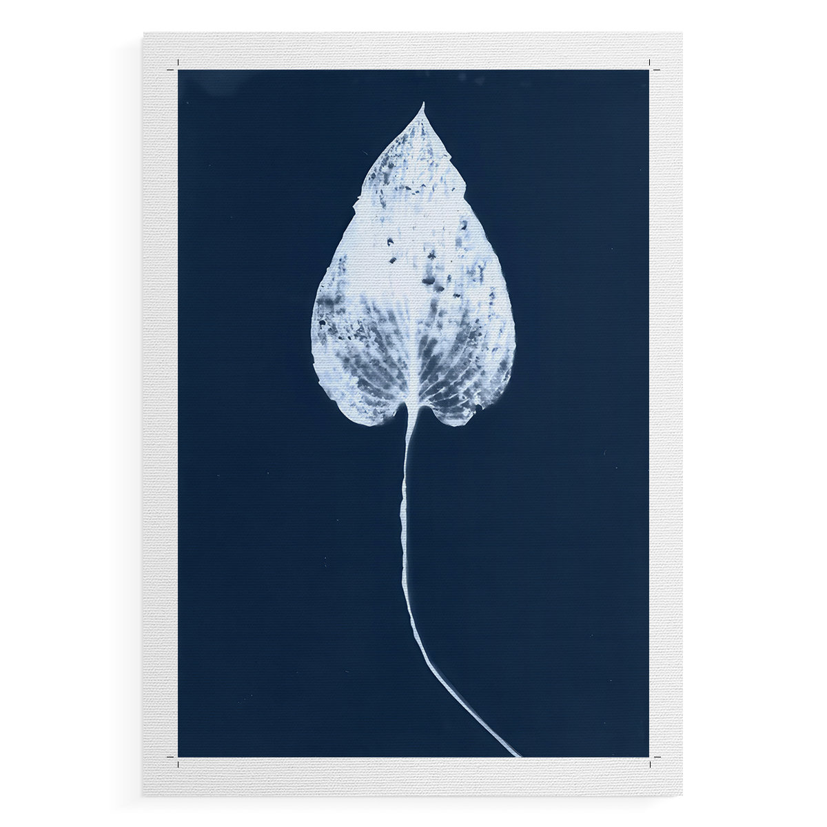 Dakota Fields Cyanotype Leaf III -Canvas Print Only - NOT FRAMED | Wayfair