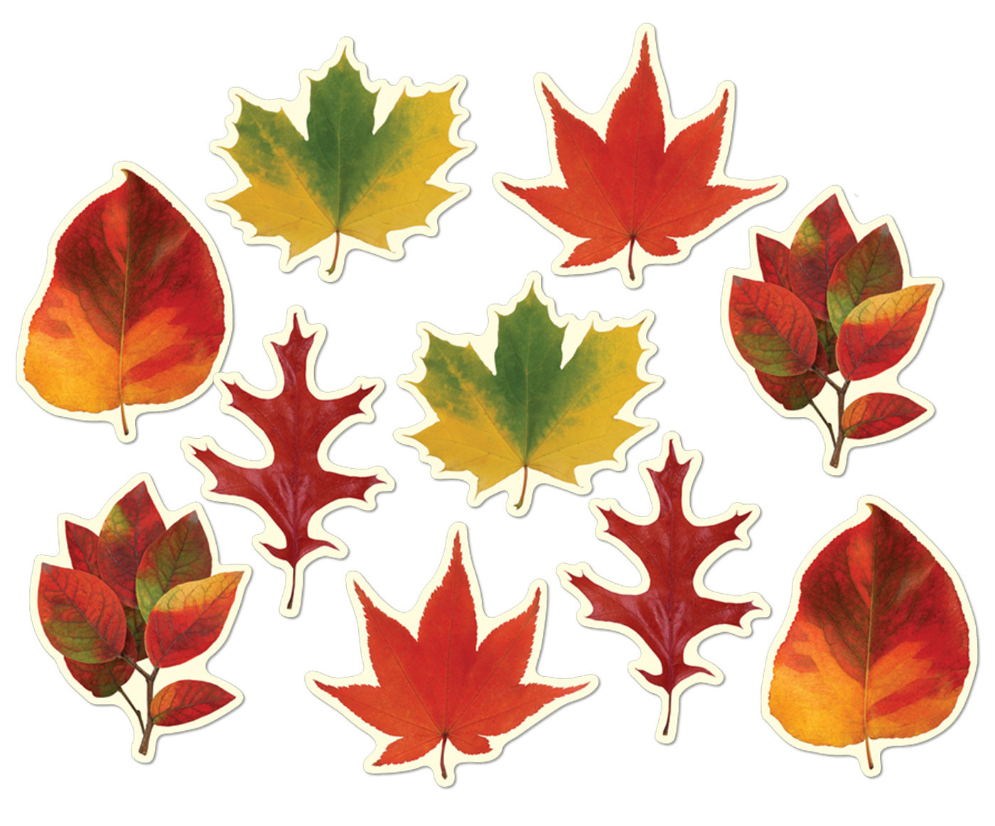 The Holiday Aisle® 12 Piece Fall/Thanksgiving Mini Leaf Cutout Set ...