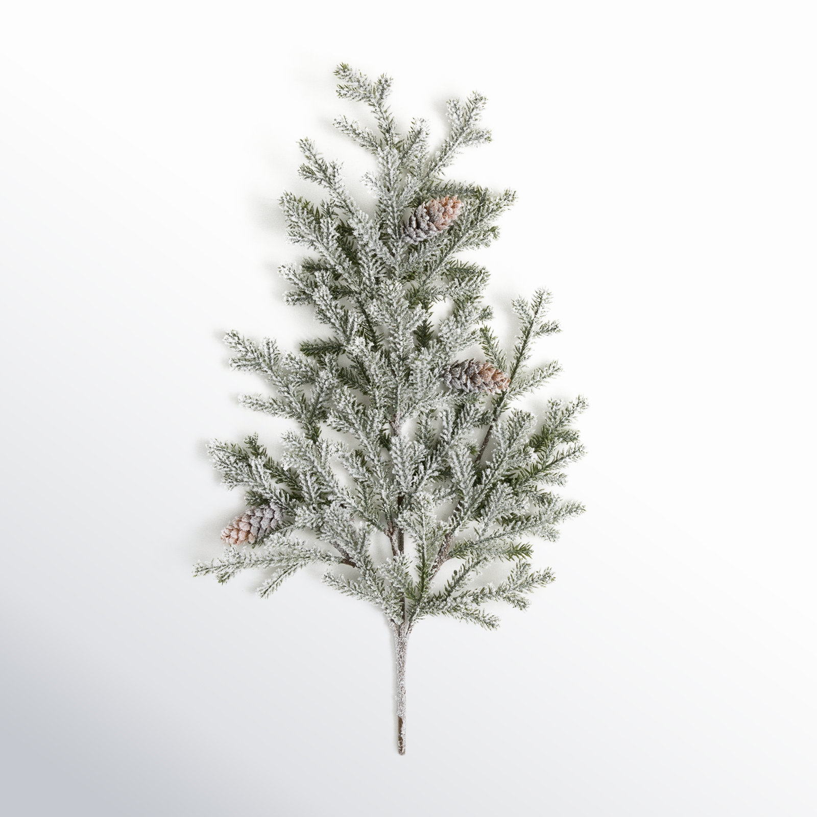 Primrue Pine Spray | Birch Lane
