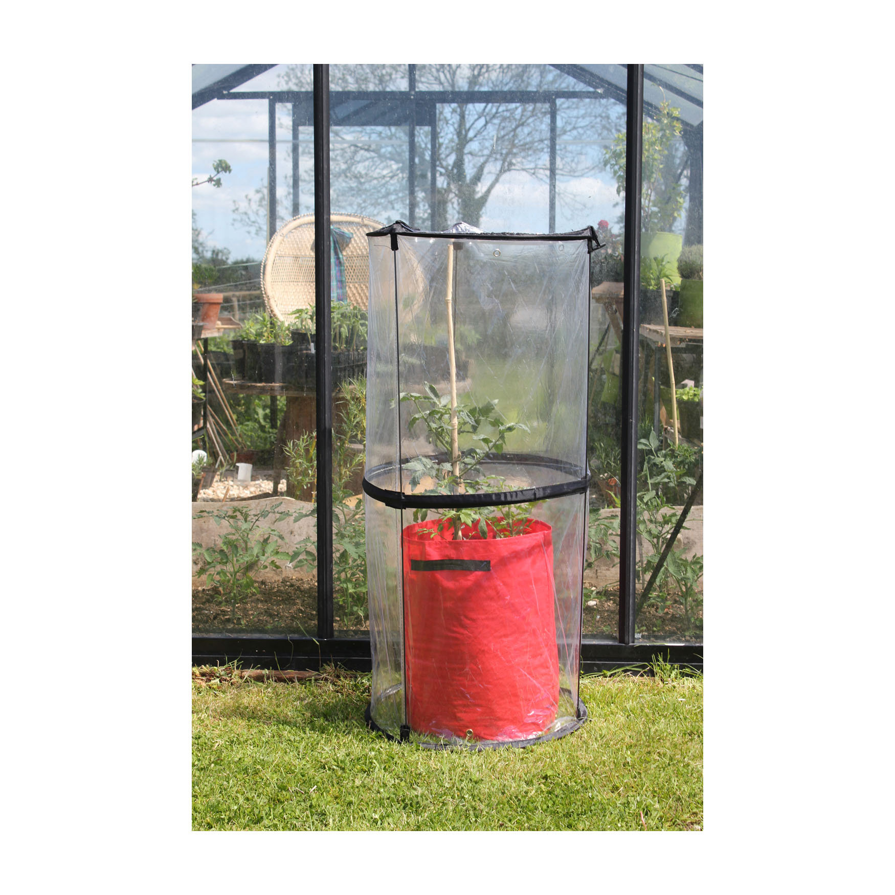 Tierra Garden Haxnicks Twist Up Tomato Cloche 19"D X 43"H | Wayfair