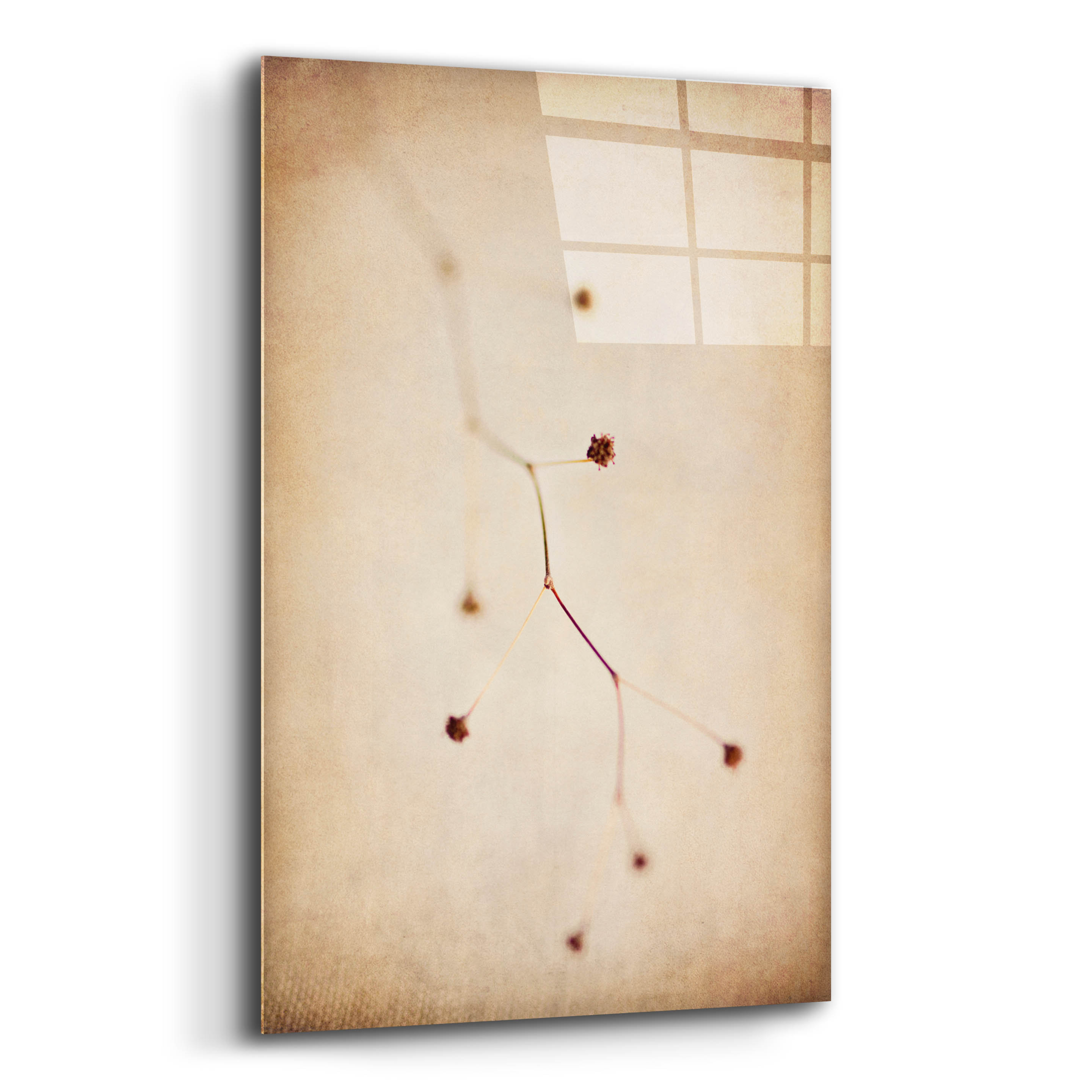 Latitude Run® 'Desert Afterlife 1C' By Jessica Rogers On Plastic ...