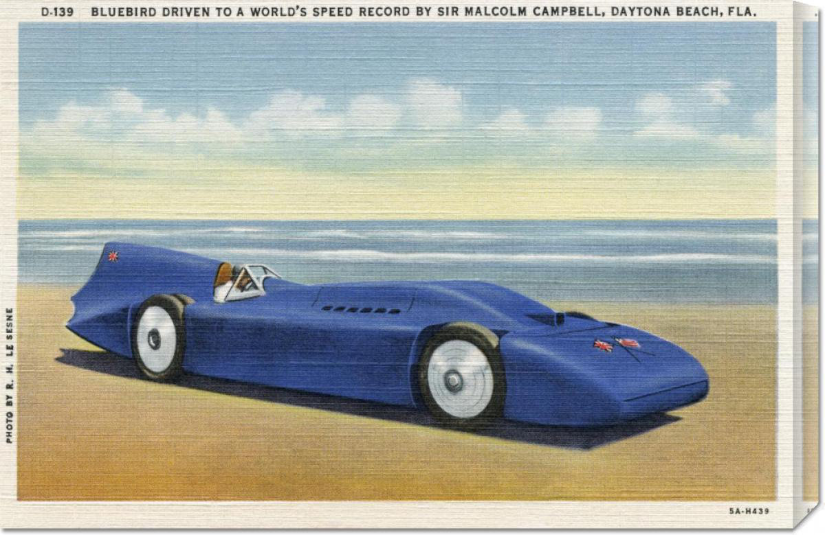 Global Gallery 'BlueBird 5' Wrapped Canvas Advertisement on Canvas ...