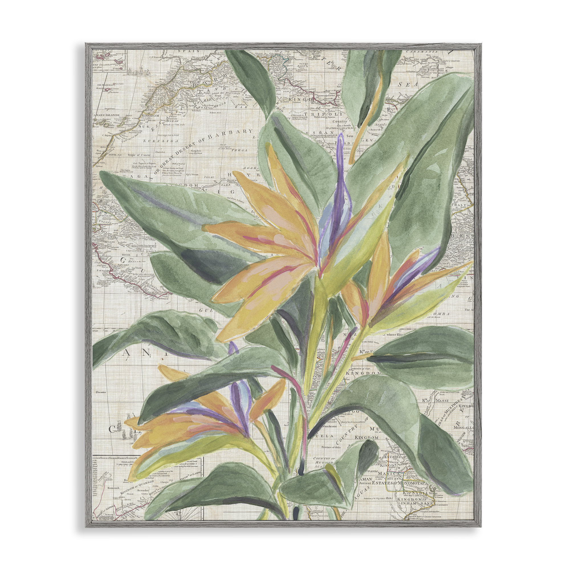 Ebern Designs Tropical Flower over Map Framed Giclee, design by June ...