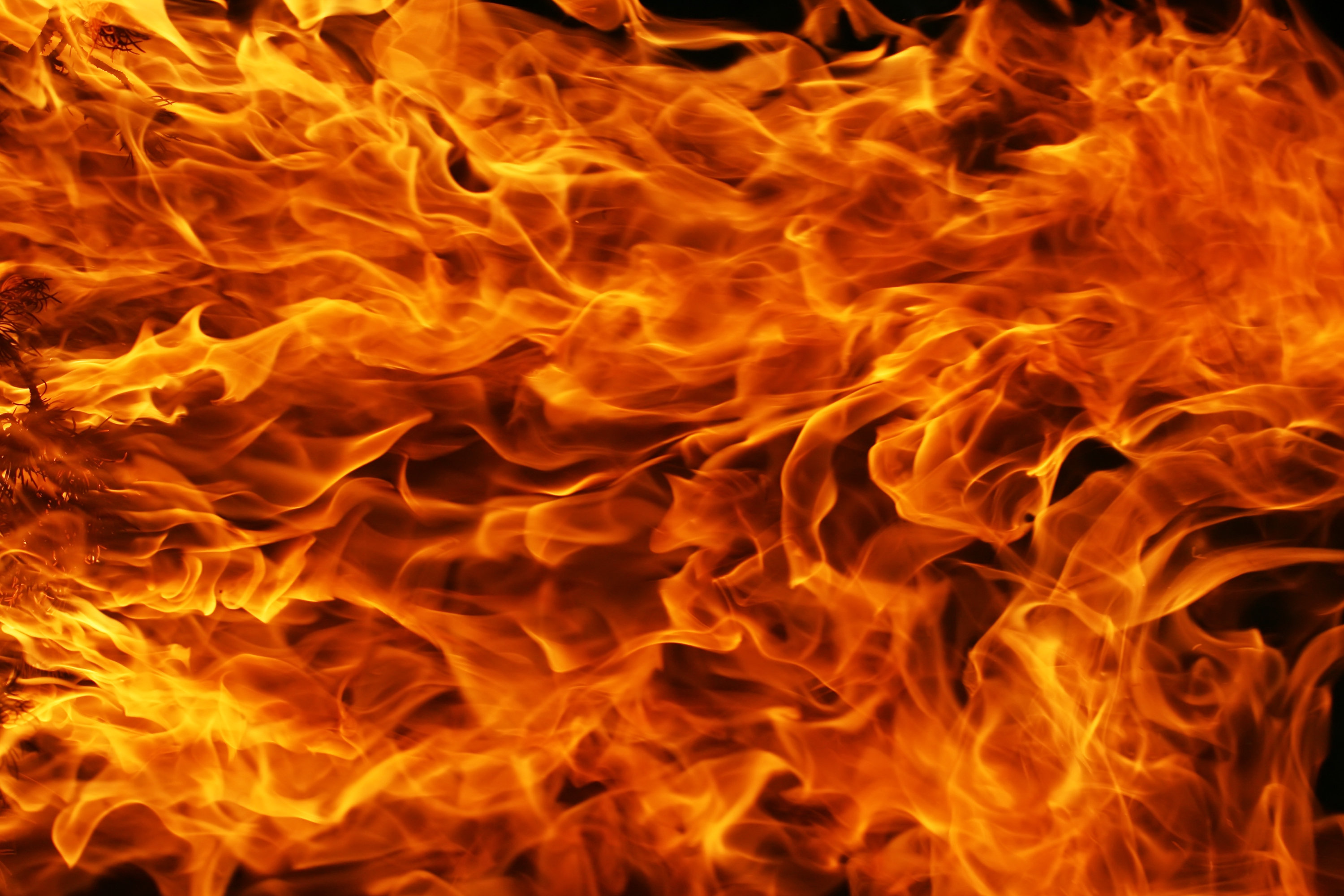 Wrought Studio™ Fredda Fire On Canvas by Isailorr Photograph | Wayfair