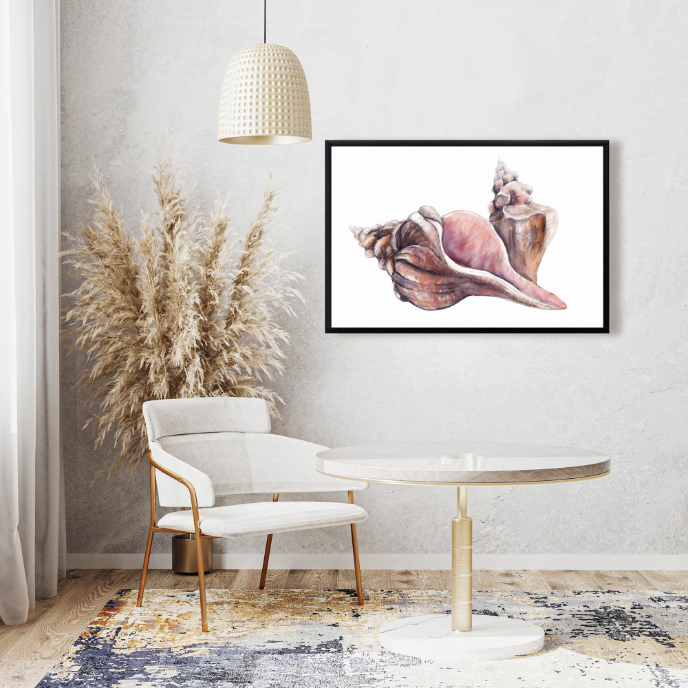 Begin Edition International Inc. Horse conch seashells - 24"x36" Framed ...
