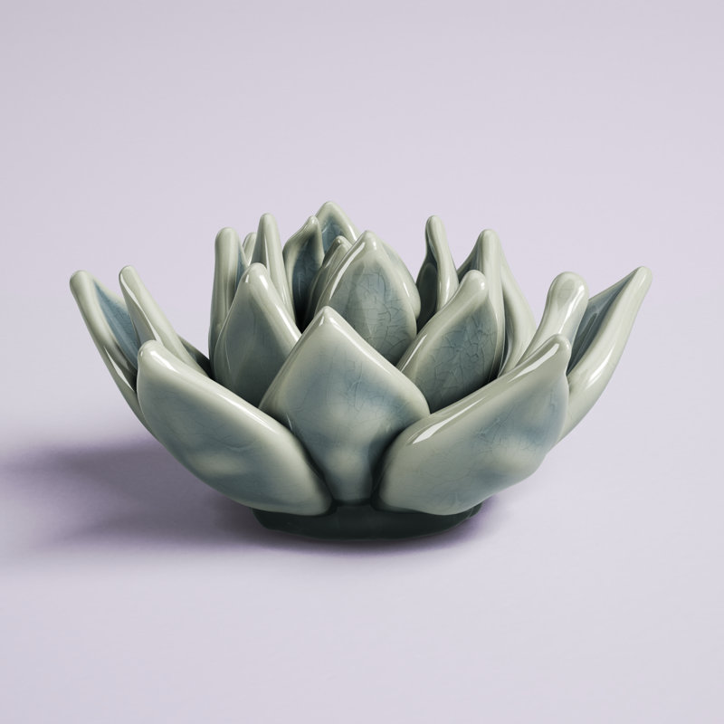 Langley Street® Landaverde Grey Ceramic Succulent & Reviews | Wayfair