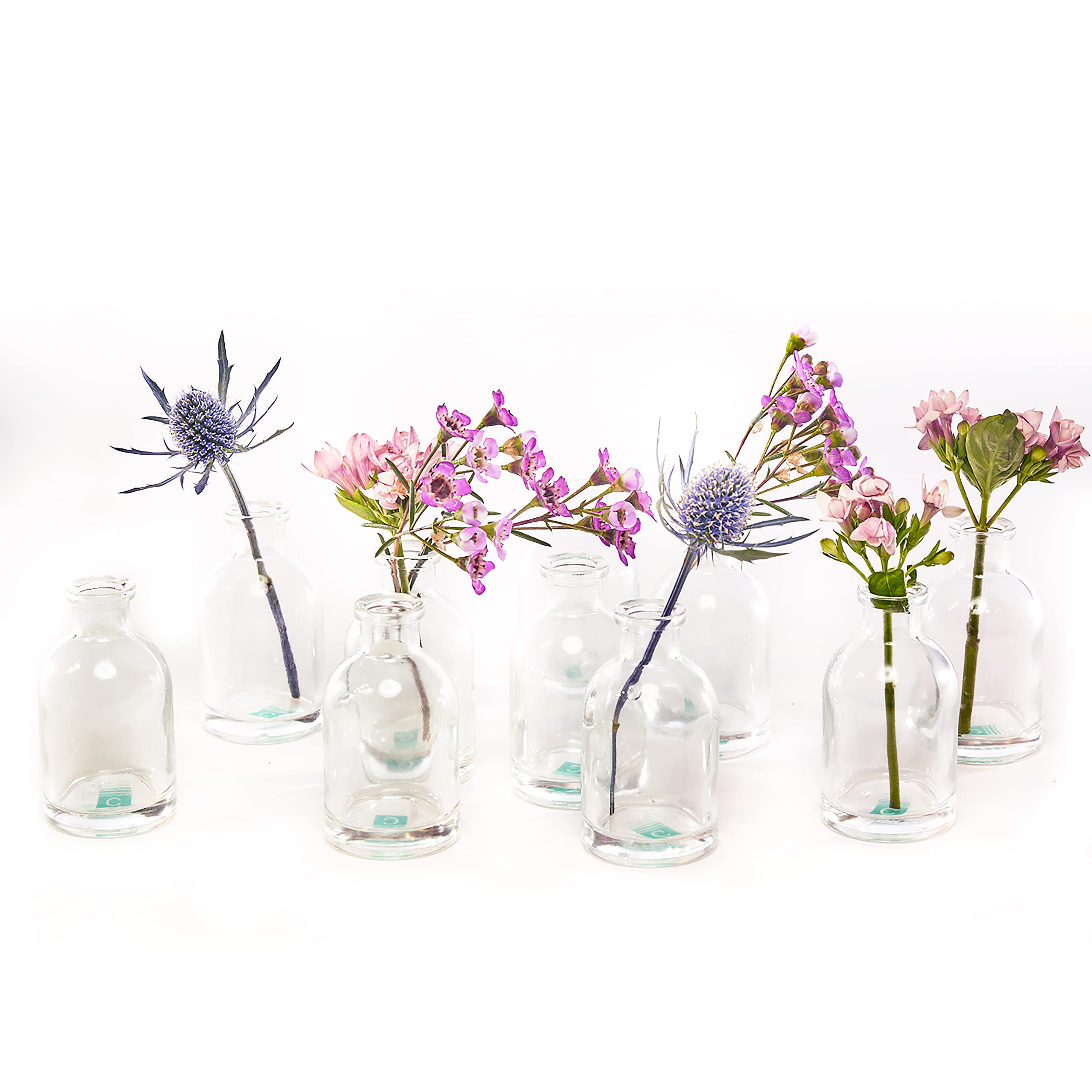 Williston Forge Small Mini Flower Vases - Clear Glass Bud Vases, Set Of ...