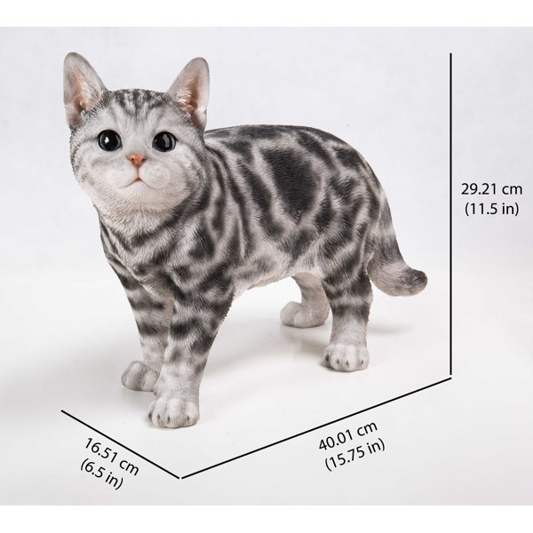 Hi-Line Gift Ltd. Standing American Shorthair Cat Statue & Reviews ...