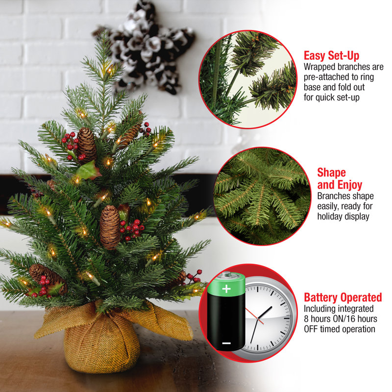 The Holiday Aisle® 2ft. Nordic Spruce Tree with LED Lights & Reviews ...