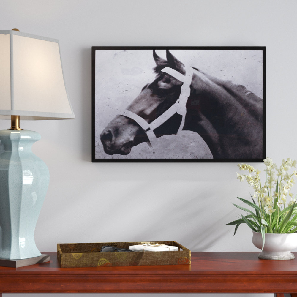 Charlton Home® 'Fortune's Favorite I' - Floater Frame Photograph on ...