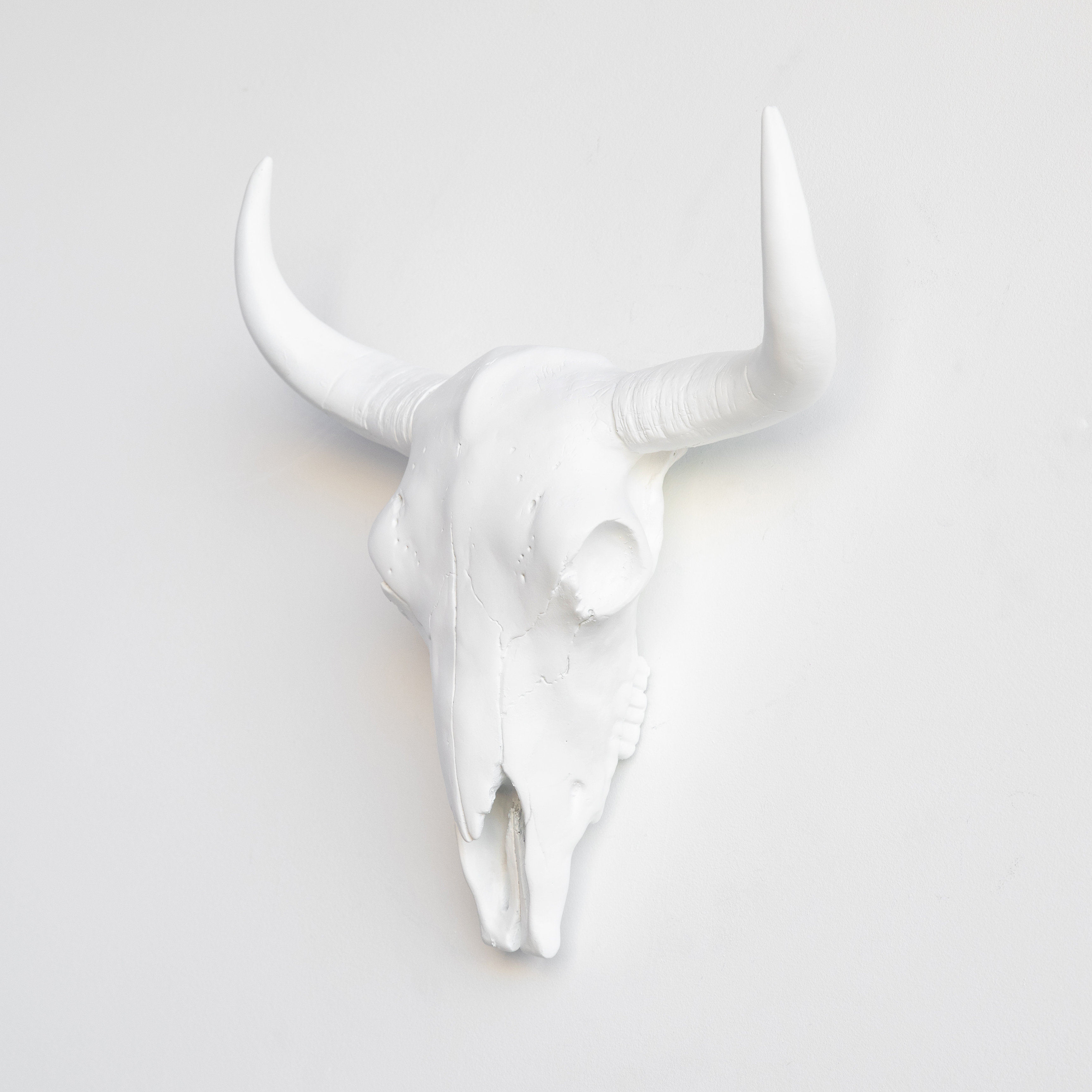 Union Rustic Wall Décor & Reviews | Wayfair
