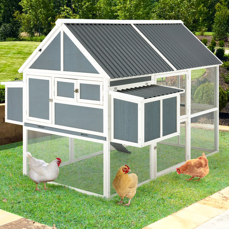 Fleetwood 40.2 ft² Walk In Chicken Coop with Chicken Run (incomplete ...