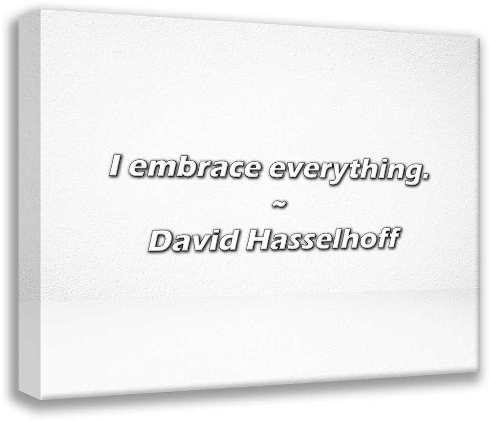 Latitude Run® Artsy Quote "I embrace everything." By David Hasselhoff ...