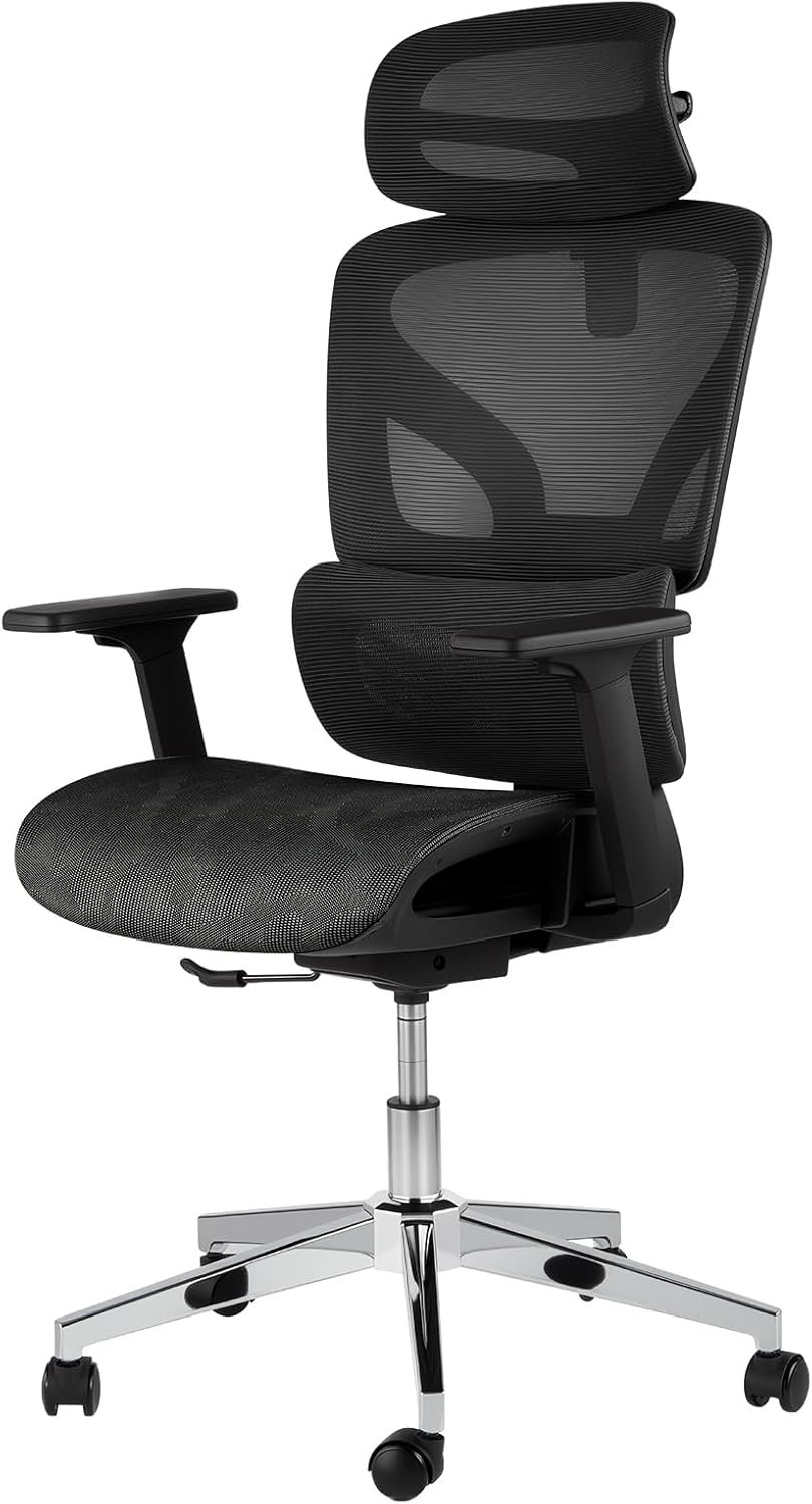 Inbox Zero Ergonomic Mesh Office Chair with High Back Support, 3D ...
