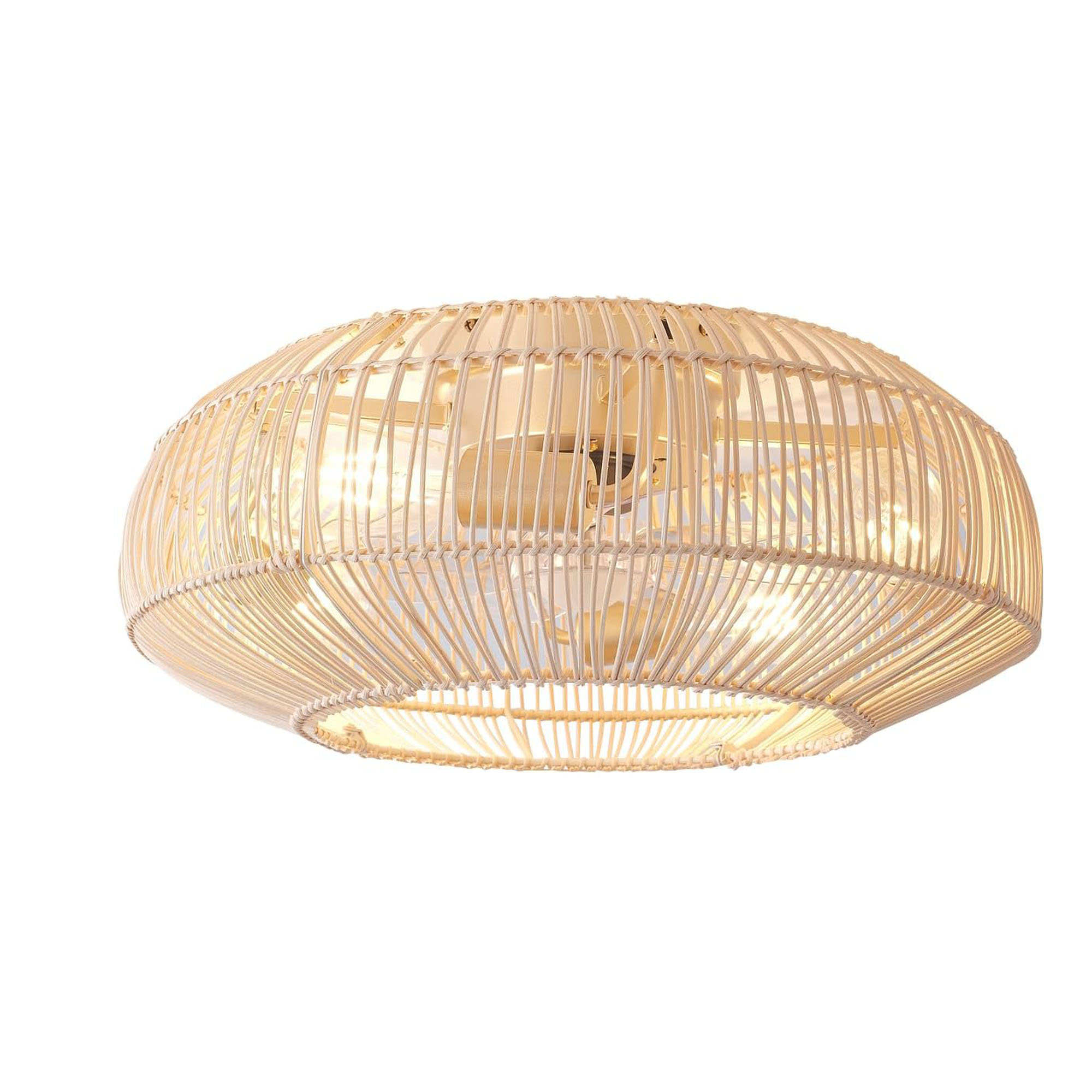 INKEDZ 20 inch Boho Rattan Ceiling Fan with Light, Coastal Caged ...