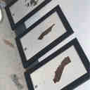 Red Barrel Studio® Millville Picture Frame "& Reviews" | Wayfair