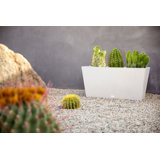 Veradek Planters You'll Love | Wayfair