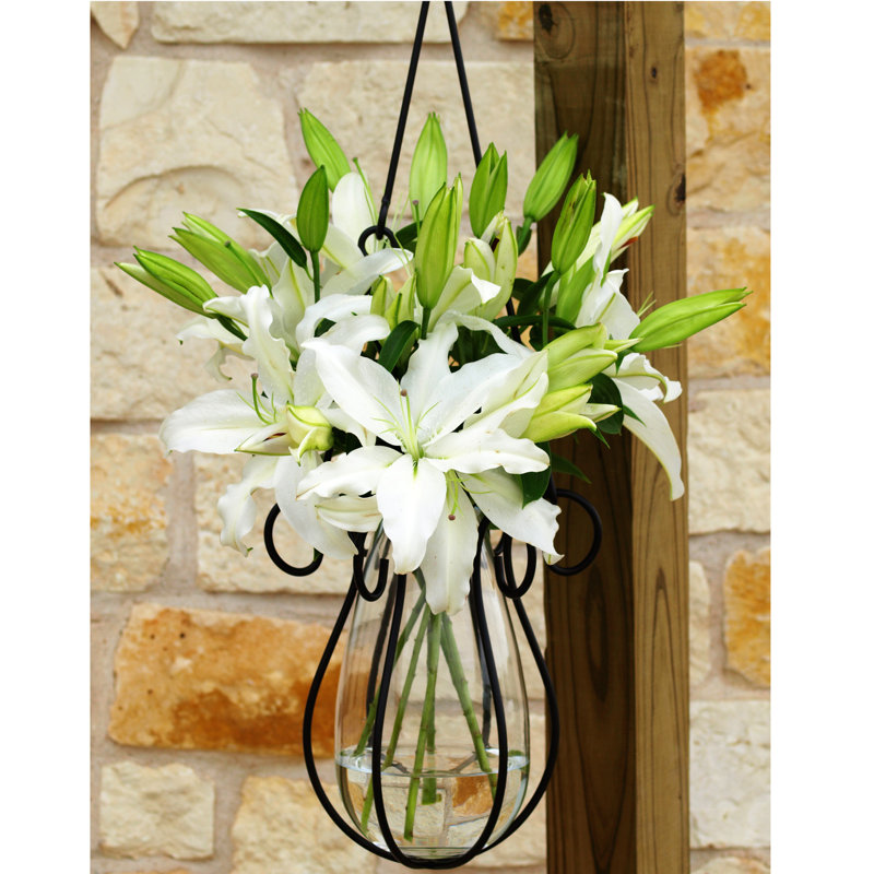 Gracie Oaks Alba Basket Wall Vase & Reviews | Wayfair