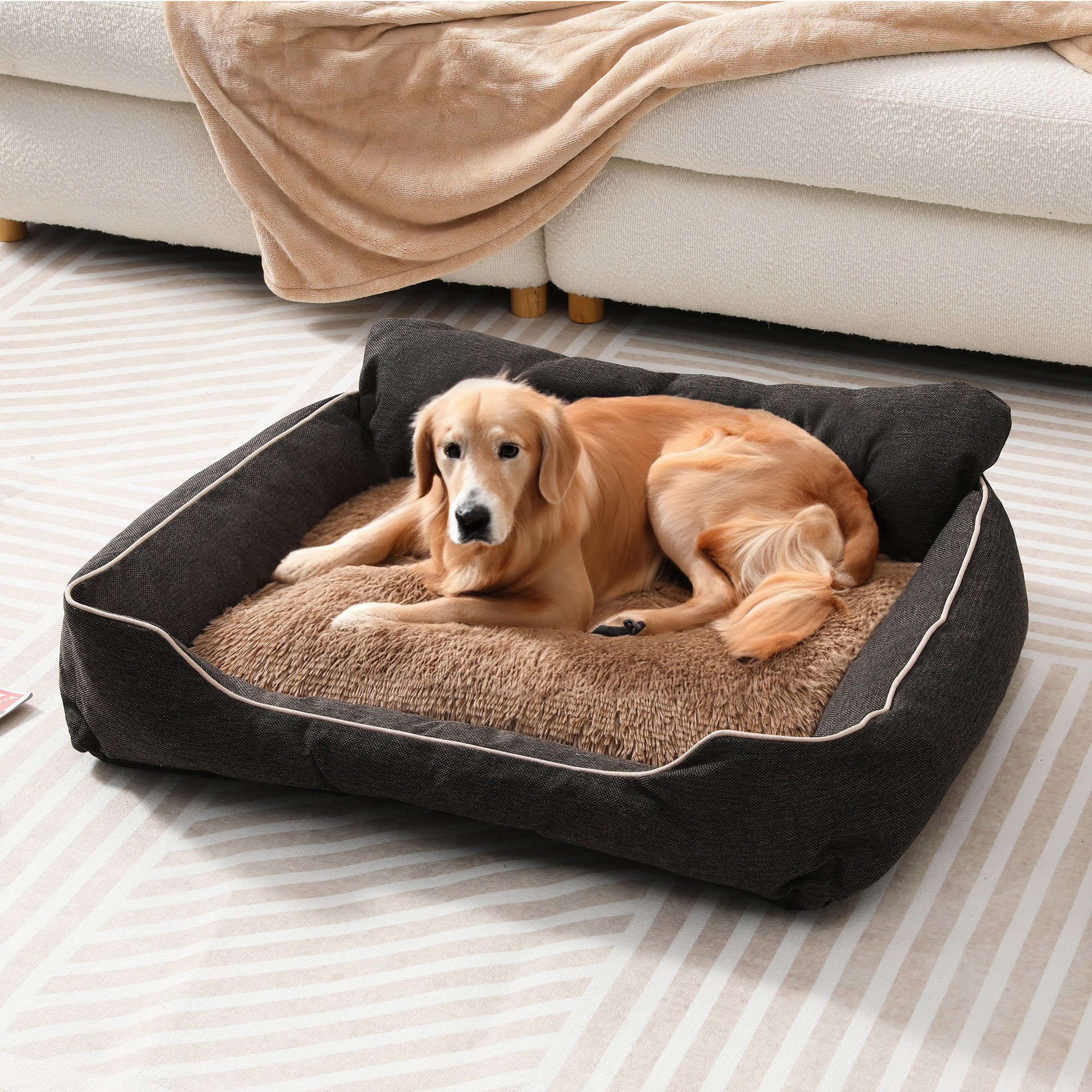 dog sleeping bed