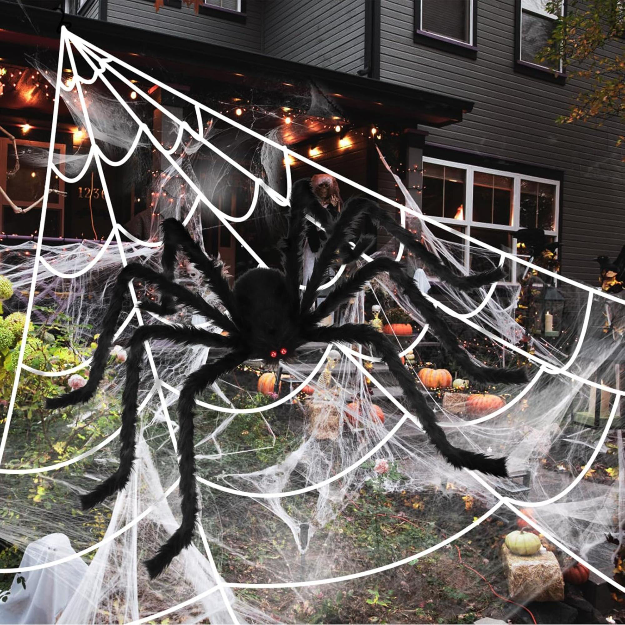 spiders web decoration