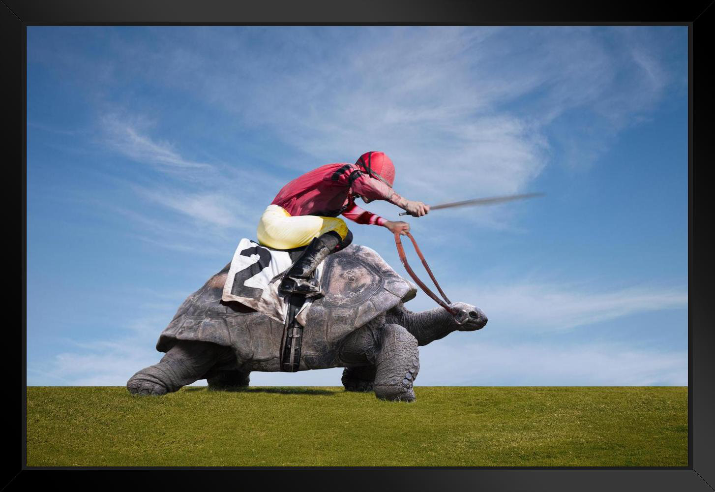 Latitude Run® Jockey Riding On A Tortoise Photo Tortoise Pictures ...