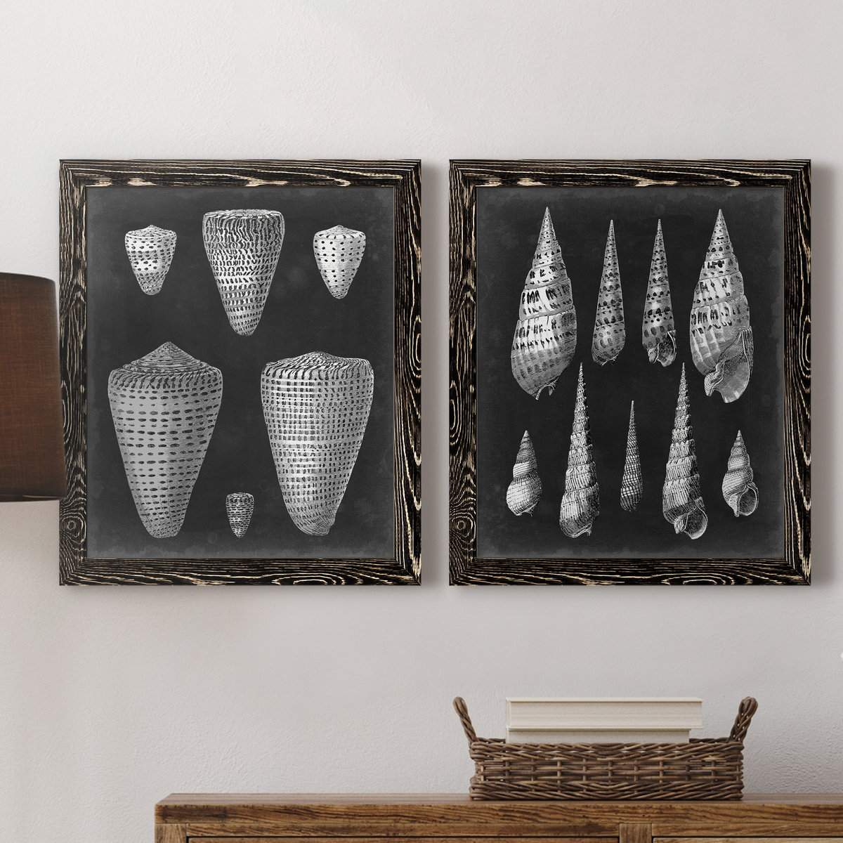 Dovecove Alabaster Shells I - 2 Piece Picture Frame Painting Print Set ...