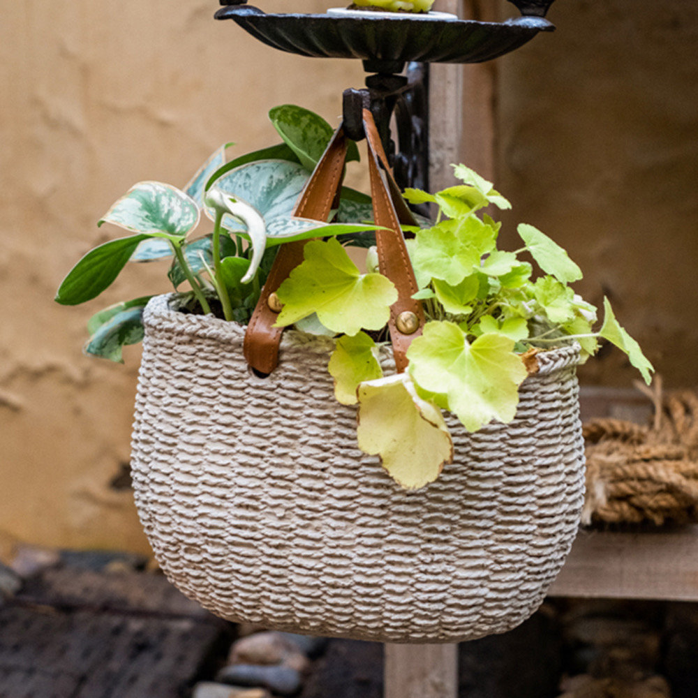Winston Porter Concrete Pot Planter | Wayfair