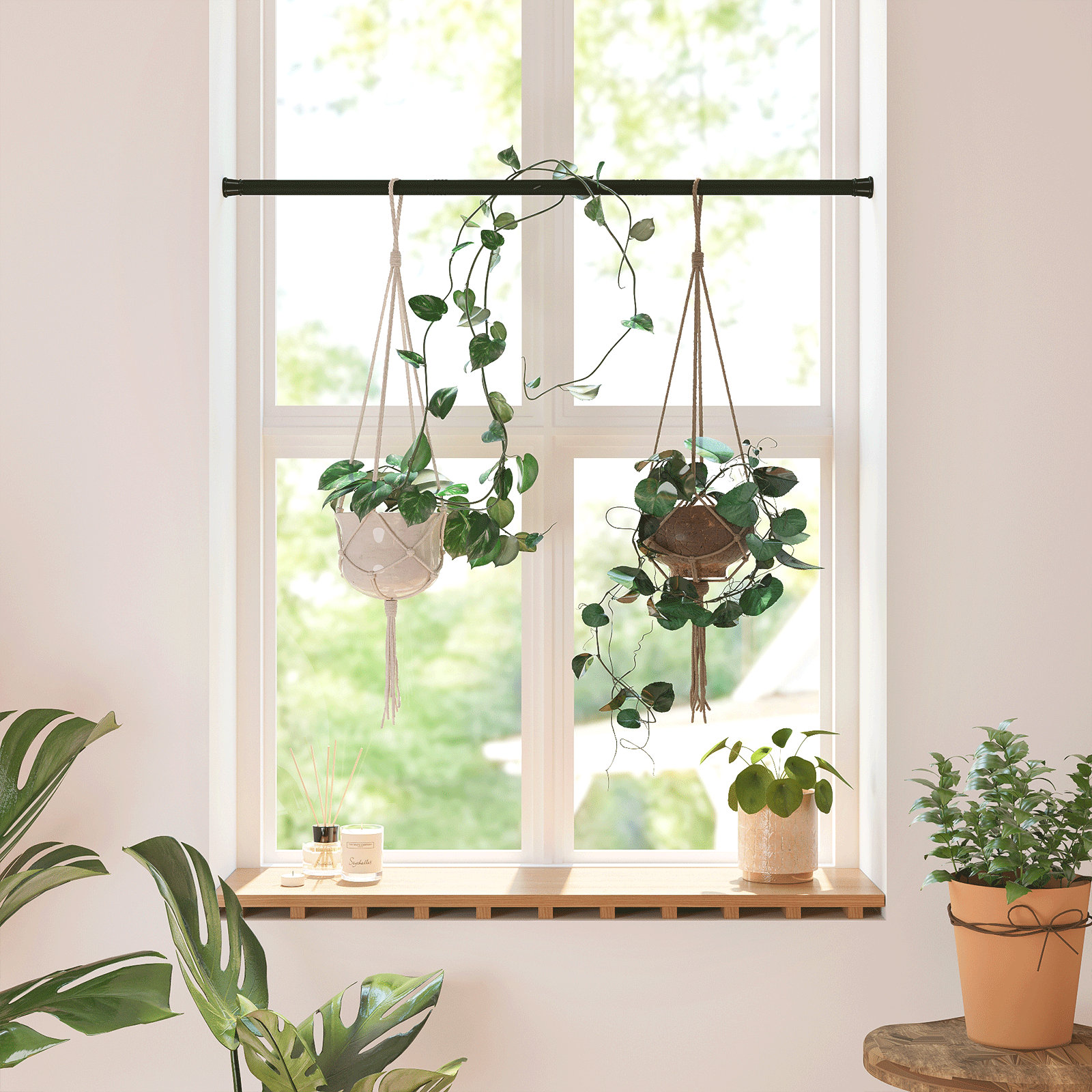 Arlmont & Co. Window Plant Hanger Indoor Adjustable Hanging Planters ...