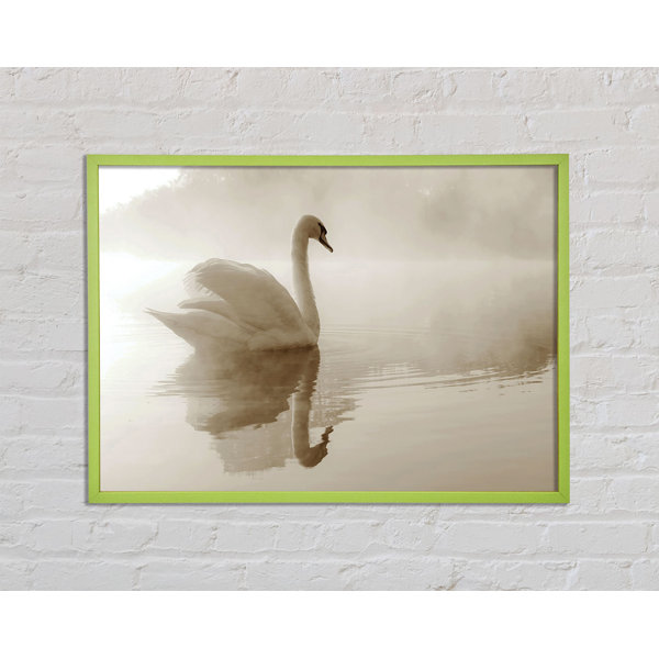 Brayden Studio Lonesome Swan - Single Picture Frame Art Prints ...