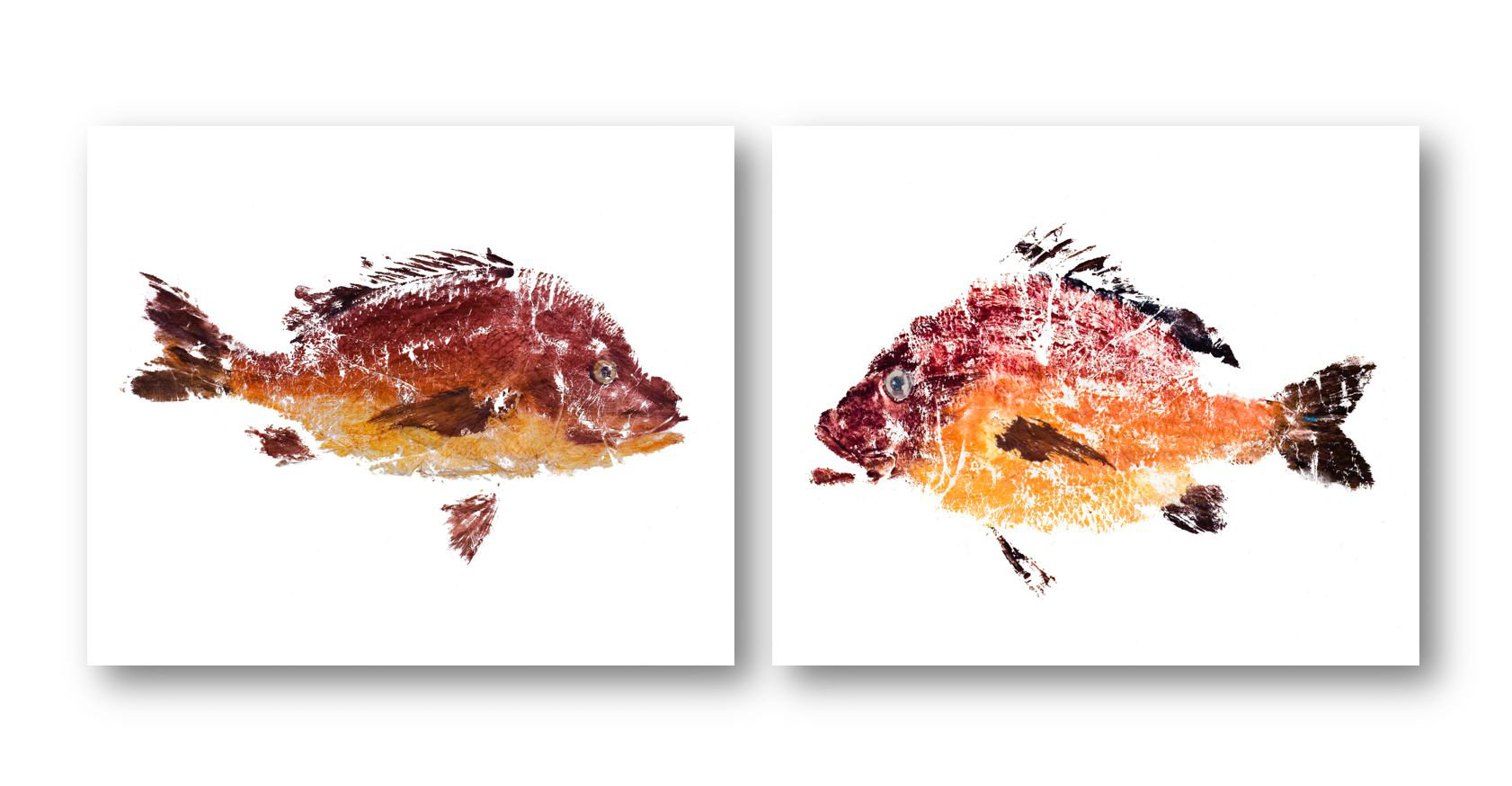 John Beard Collection Red Fish Set by John Beard - Artist Enhanced ...