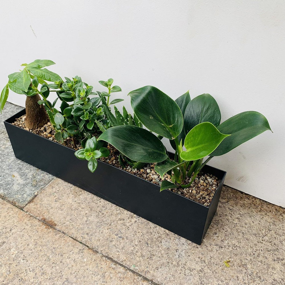 Wrought Studio™ Metal Steel Trough Planter - Rectangle Black Planters ...