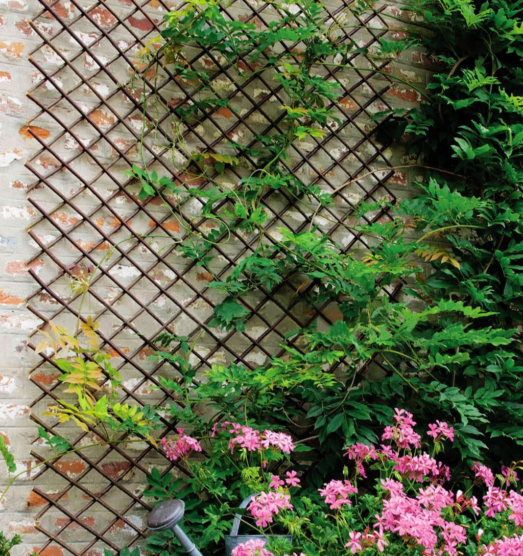 Arlmont & Co. Expandable garden trellis and willow fence panel ...