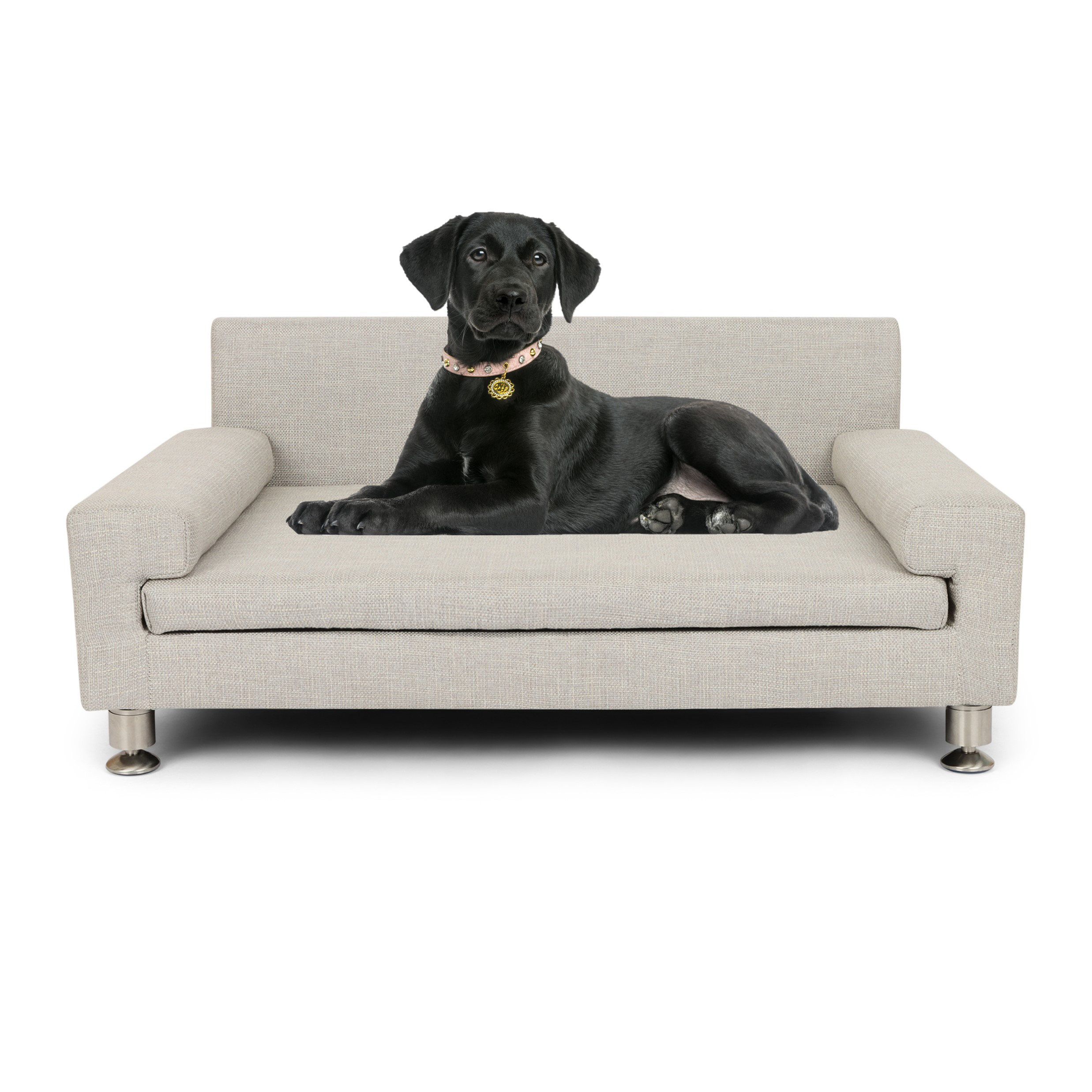 Club Nine Pets LUXE Ultra-Luxury Dog Beds | Wayfair