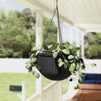 Hanging & Basket Planters | Wayfair