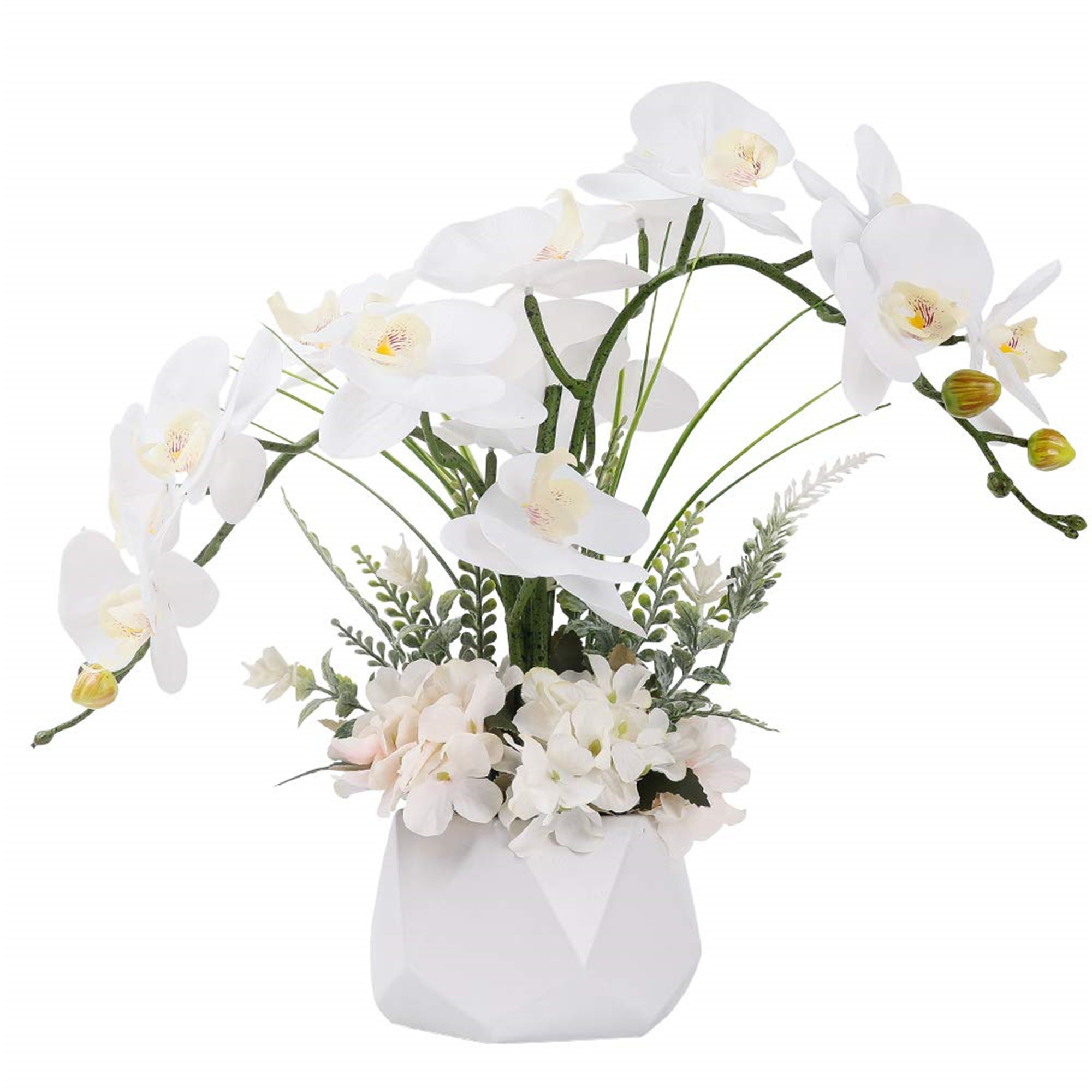 Ebern Designs Roudy Arrangement | Wayfair.co.uk