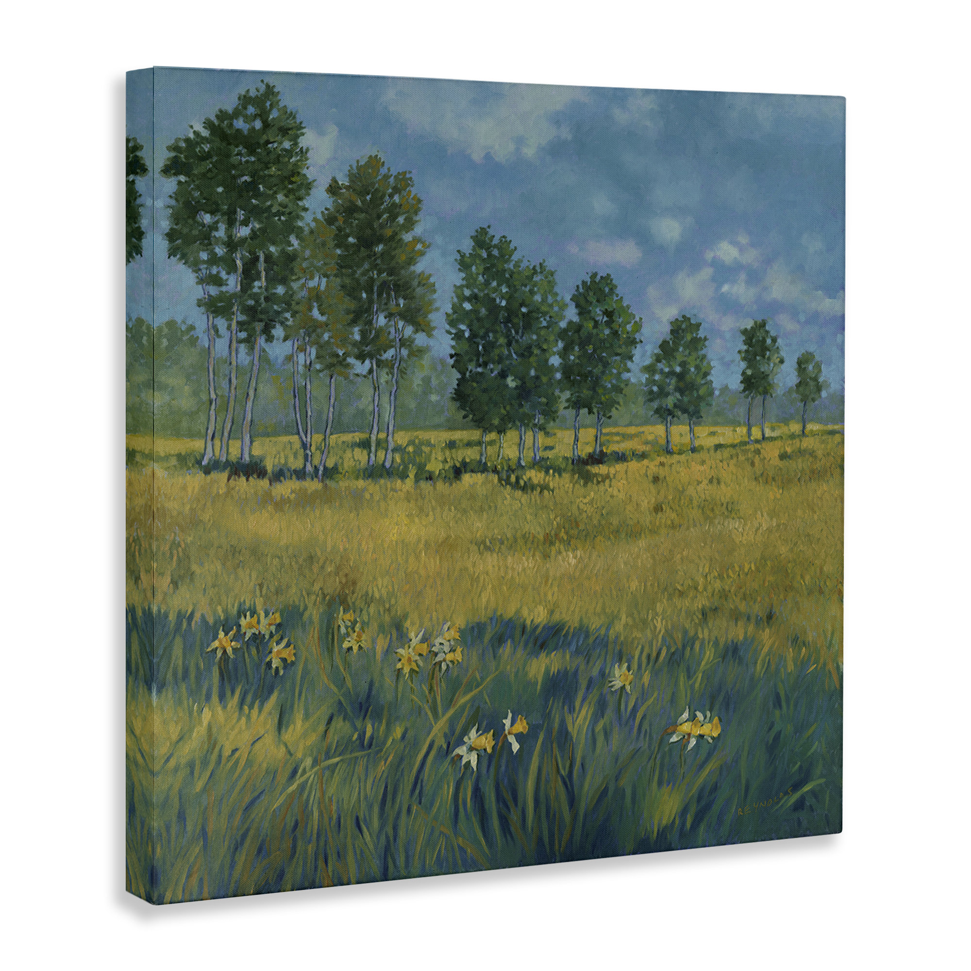 Lark Manor™ Daffodil Field Landscape Canvas Wall Art by Graham Reynolds ...