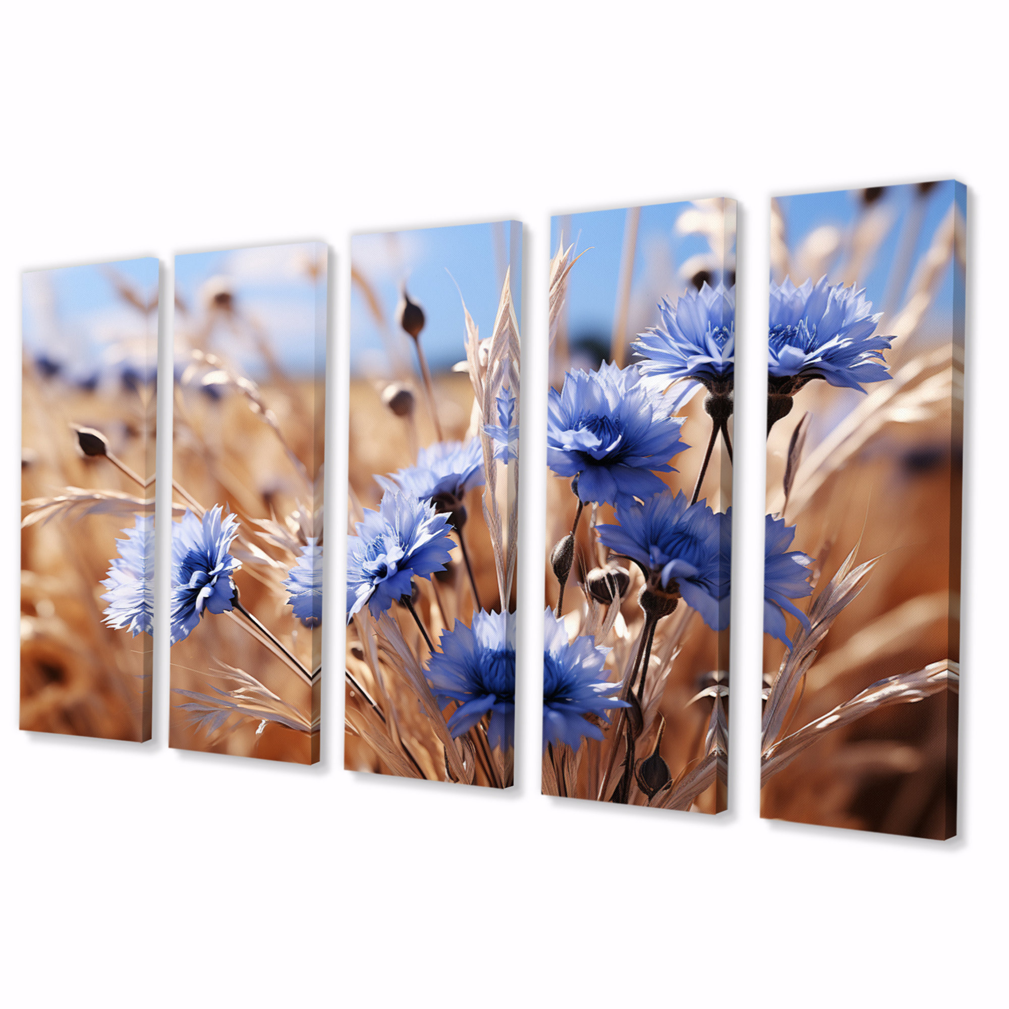 Ebern Designs Cornflowers Field III - Floral Canvas Print - 5 Equal ...