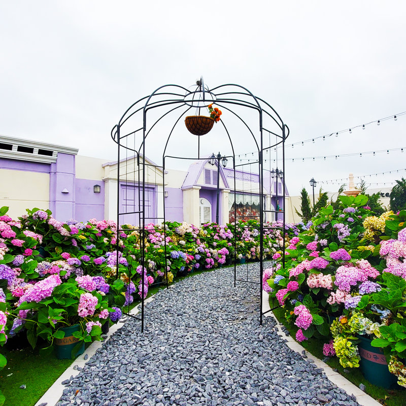 Scendor 9ft High X 6.8ft Wide Garden Arch Arbor French Style Birdcage ...