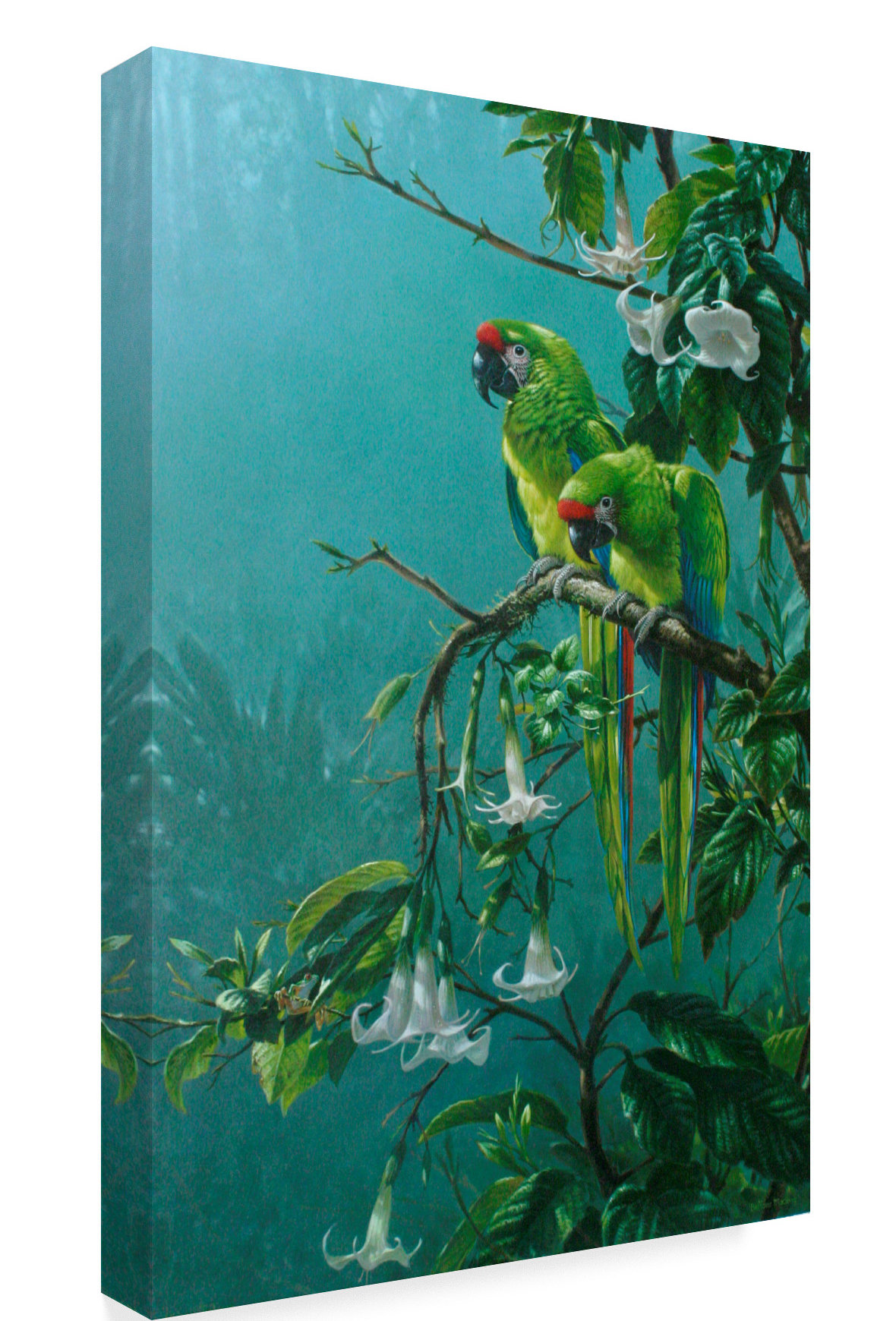World Menagerie 'Buffons Macaws' Acrylic Painting Print on Wrapped ...