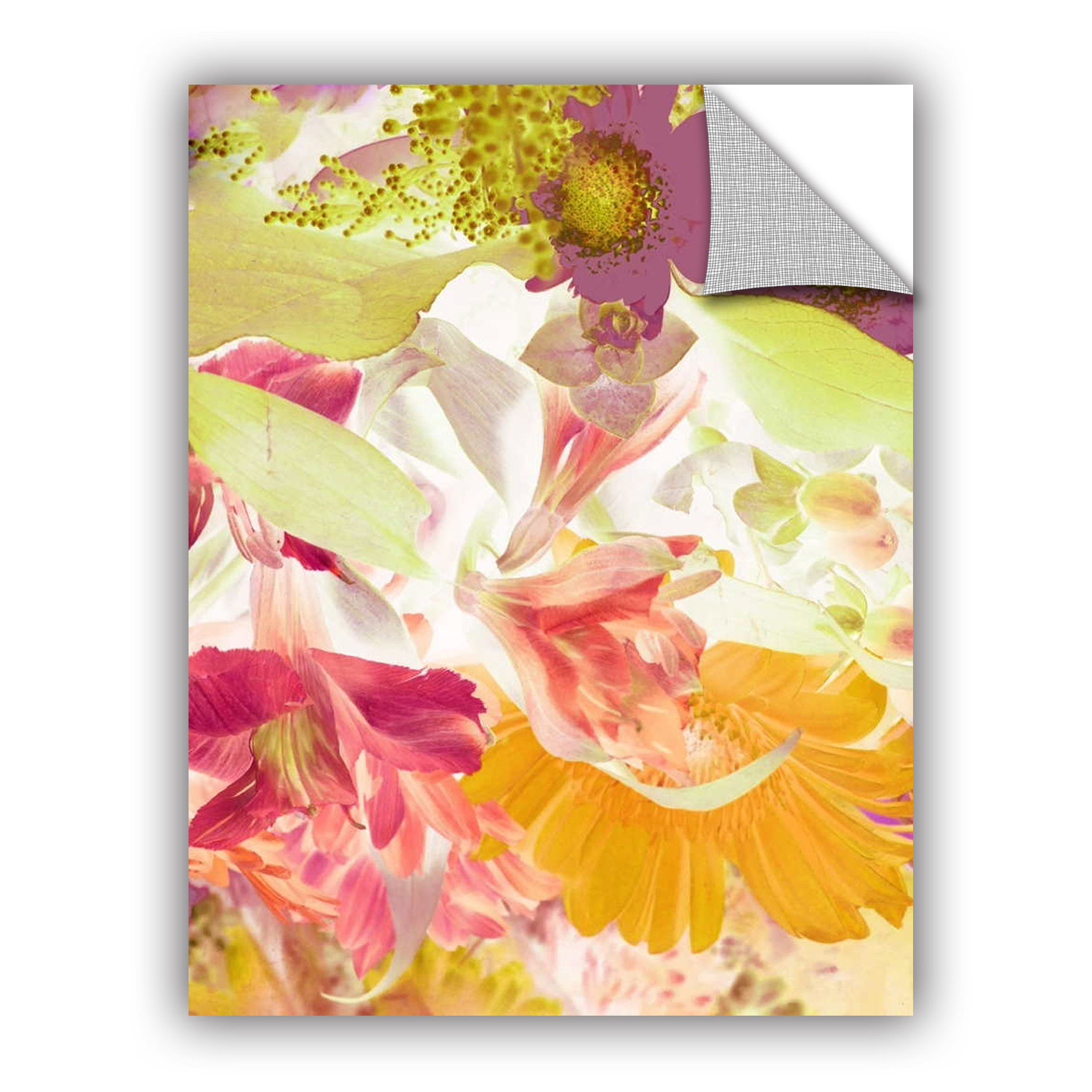 House of Hampton® Exotic Appearance Removable Wall Decal | Wayfair