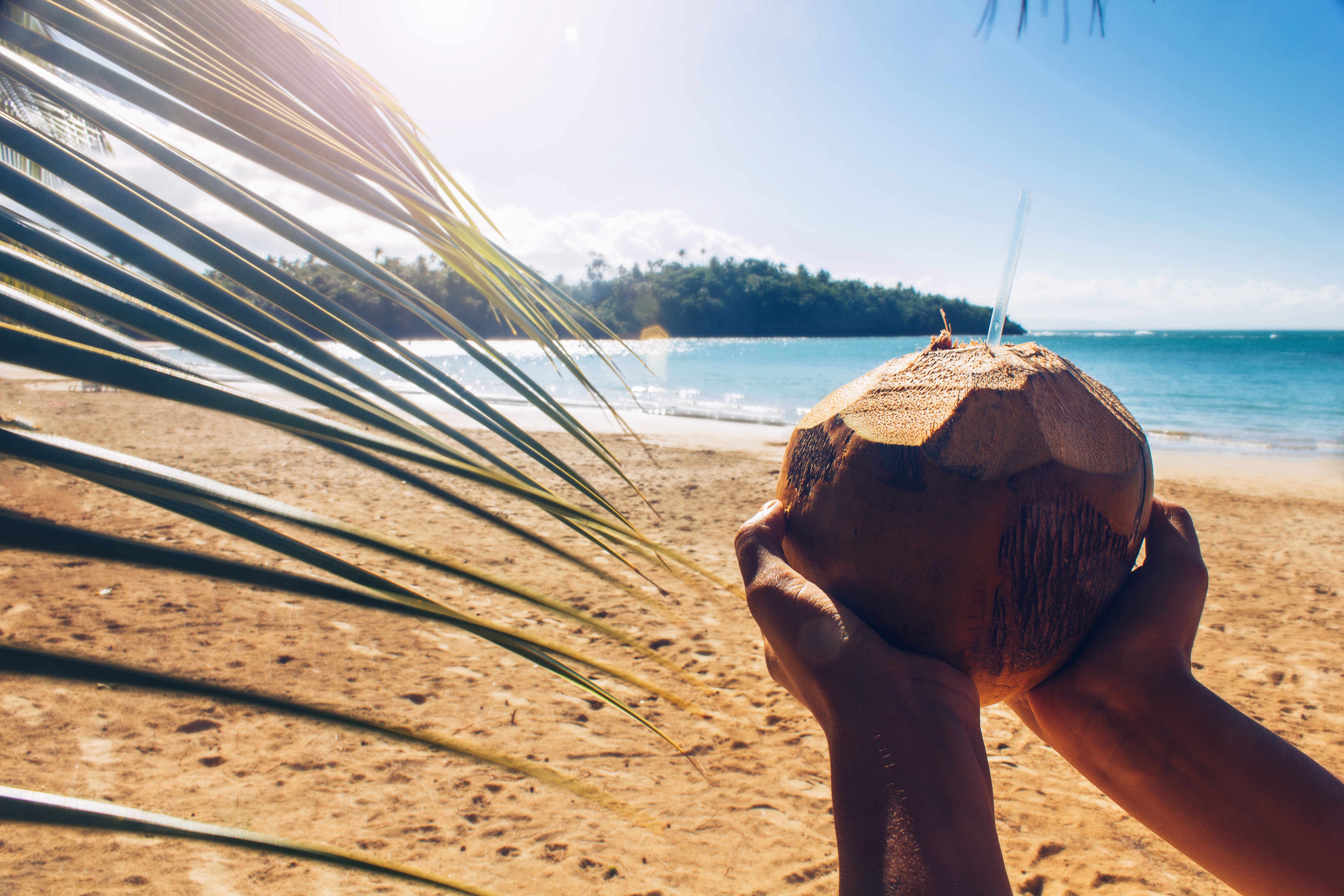 Highland Dunes Woman Holding Coconut - Wrapped Canvas Photograph | Wayfair