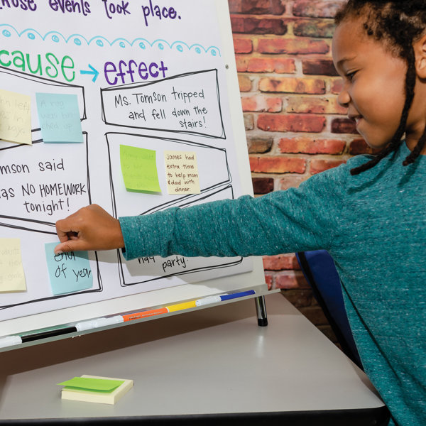 Pacon Corporation Heavy Duty Anchor Chart Paper | Wayfair